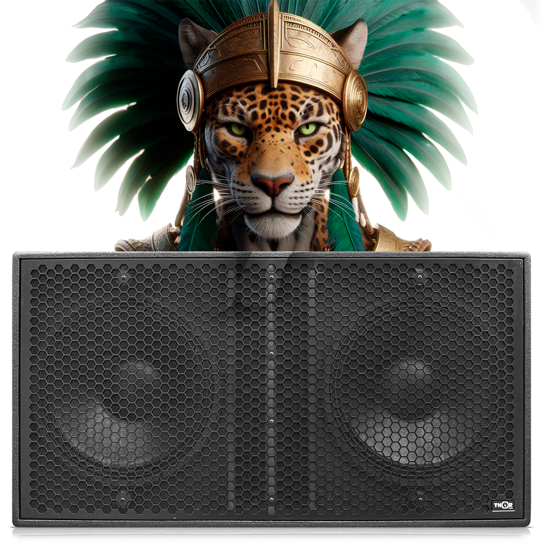 Sistemas de Audio | THOR – Thor Corp